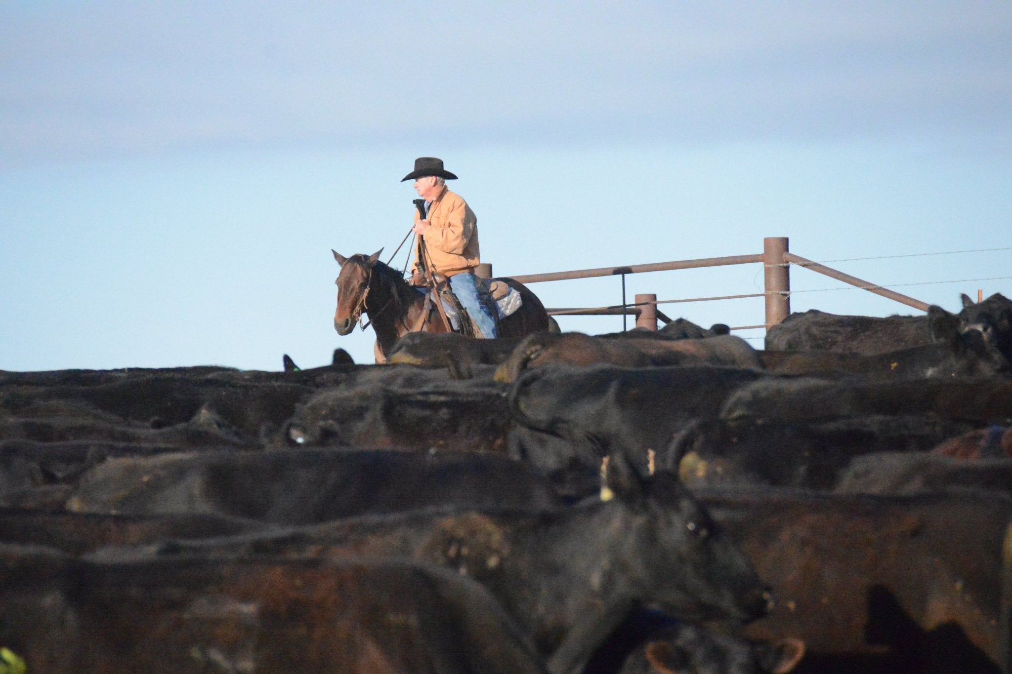 One of our Cowboys Heads to Greener Pastures – Wellborn 2R Beef