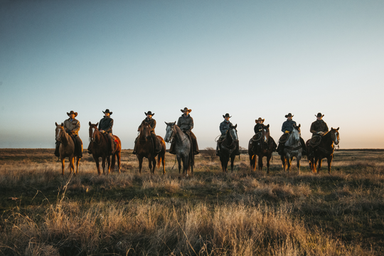 Wellborn 2R Ranch | All Natural Premium Texas Beef – Wellborn 2R Beef